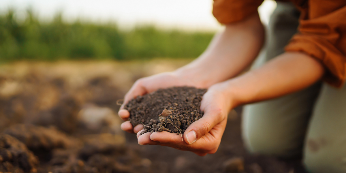 الفحص الدوري للأرض والإجراءات الوقائية اللازمة | Periodic Land Inspect ...