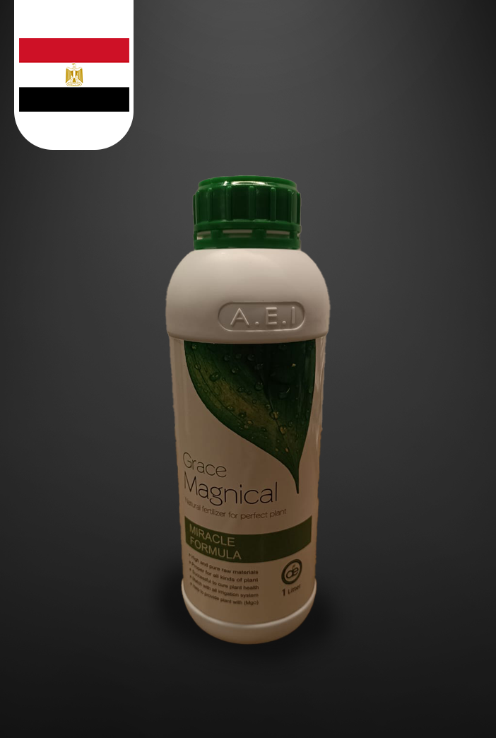 MAGNICAL | ماجنيكال — Cowboyzz.Com | Egypt