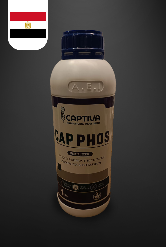 CAP PHOS | كاب فوس — Cowboyzz.Com | Egypt